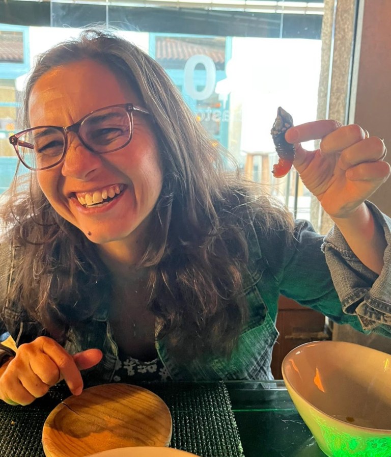 De Onde Vem os Galegos: Conheça a História da Galícia – história ...